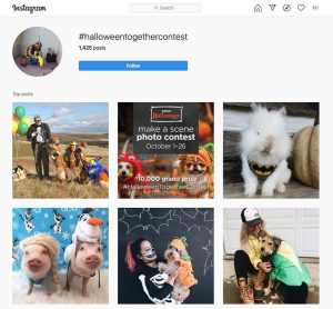 10 Instagram Competition Ideas to Lift Awareness – Woobox Blog