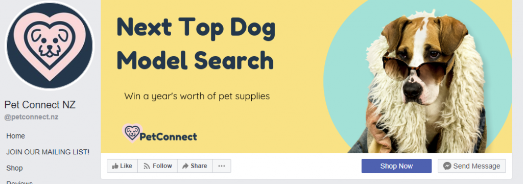 14 Spring Giveaway Ideas for Small Businesses – Woobox Blog