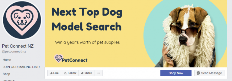 14 Spring Giveaway Ideas for Small Businesses – Woobox Blog