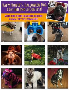 20 Creative Photo Contest Ideas & Examples – Woobox Blog