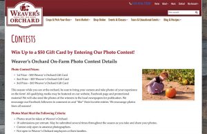 20 Creative Photo Contest Ideas & Examples – Woobox Blog