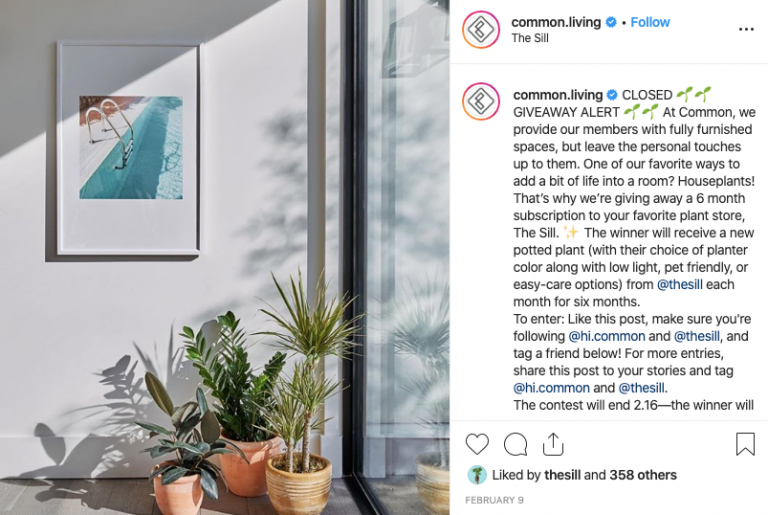 3 Fantastic Examples of Instagram Contests That Fuel Marketing Goals ...