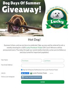 31 Core Facebook Giveaway Ideas & Examples – Woobox Blog