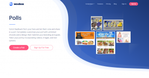 5 Poll Ideas to Improve Your Marketing Strategy – Woobox Blog