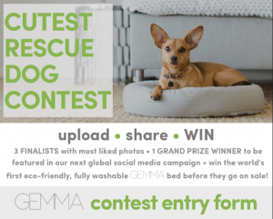 5 Sure-Fire Tricks to a Better Facebook Page Promotion – Woobox Blog