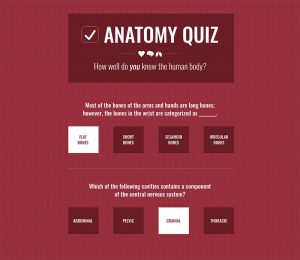 14 New Woobox Templates for Your Next Marketing Campaign – Woobox Blog